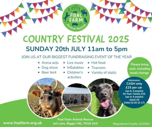 Whats On for Dogs Kent, Doggy What's On Kent | Dog Advisor Kent